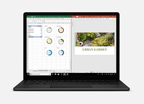 Microsoft Surface Family | BaNANA instore